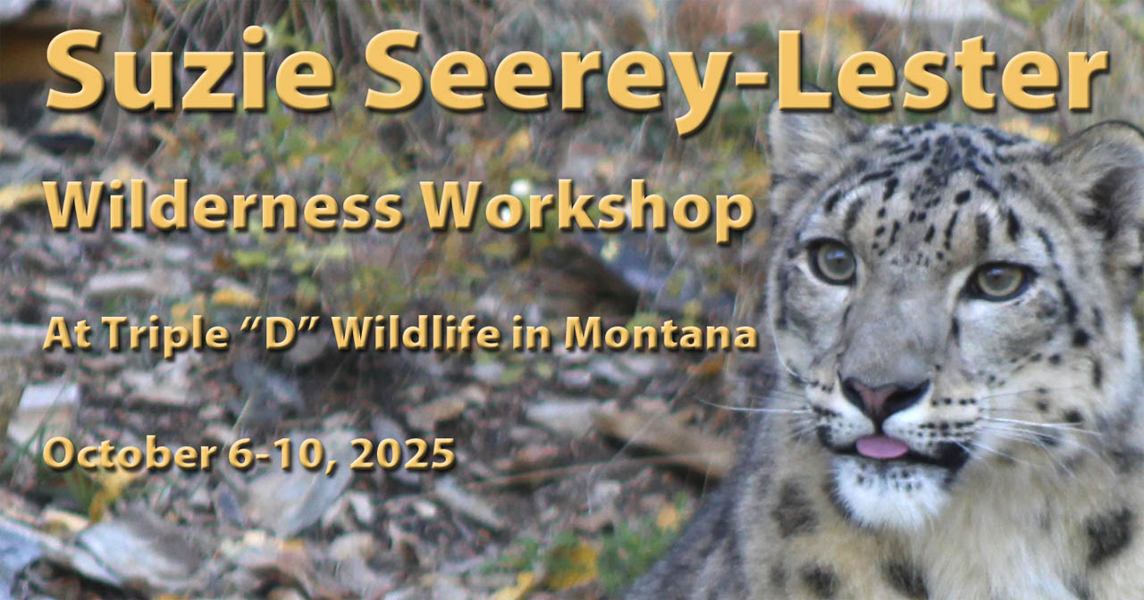 Workshop 2025 - Seerey-Lester Art